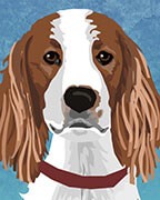 Irish Red & White Setter Art | Shop Irish Red & White Setter Decor ...