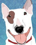 Bull Terrier Art | Shop Bull Terrier Decor & Gifts - Sara England Designs