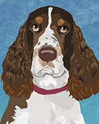 English Springer Spaniel Art | Shop English Springer Spaniel Decor ...