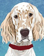 English Setter Art | Shop English Setter Decor & Gifts - Sara England ...